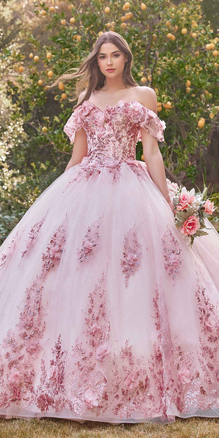 Plus Size Quinceanera Dresses | DiscountDressShop.com