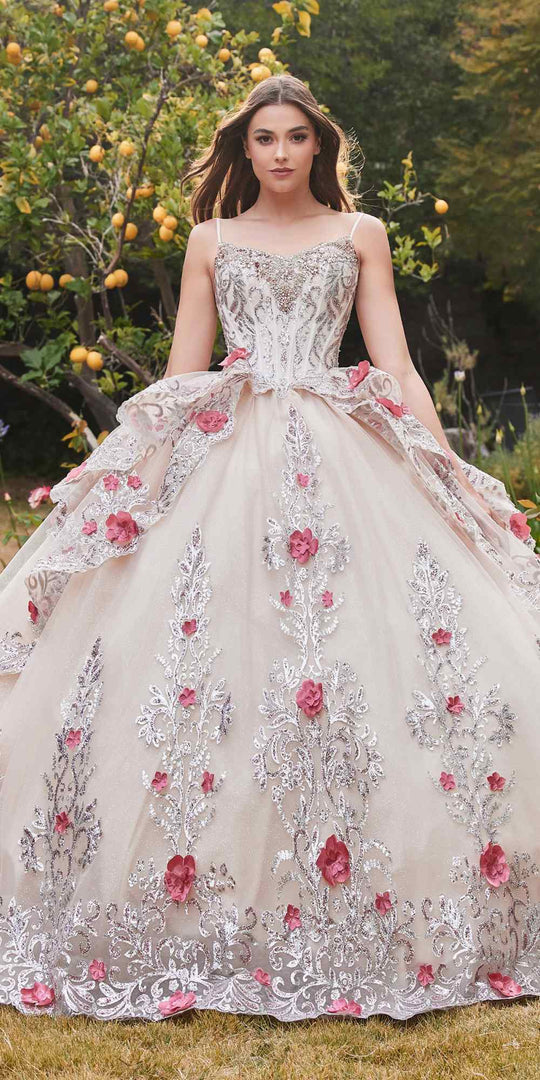 Plus Size Quinceanera Dresses | DiscountDressShop.com