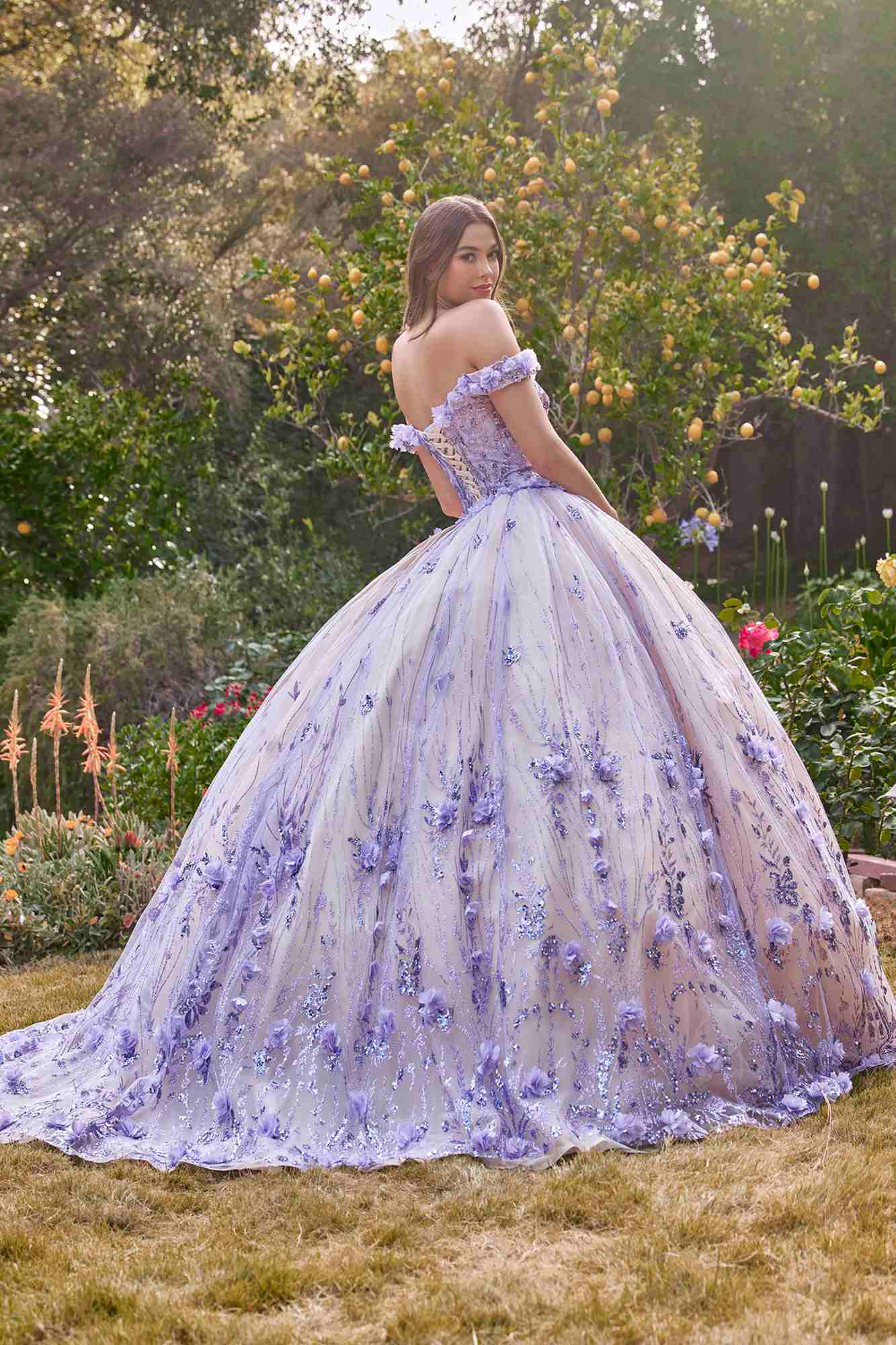Blue And Purple Quinceanera Dresses